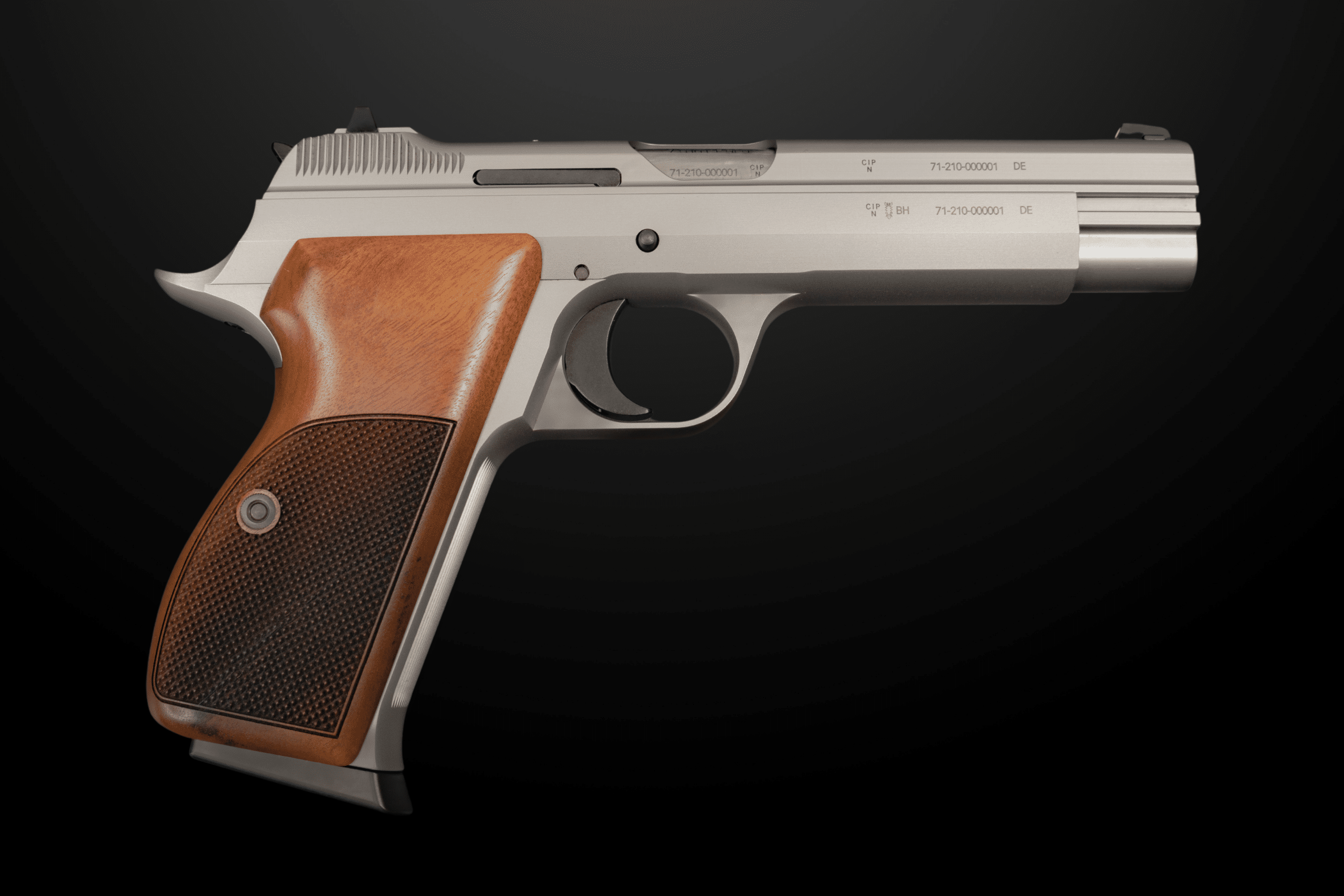 SIG P210 Legend Silber - Rare Collector's Piece | Luxus Capital